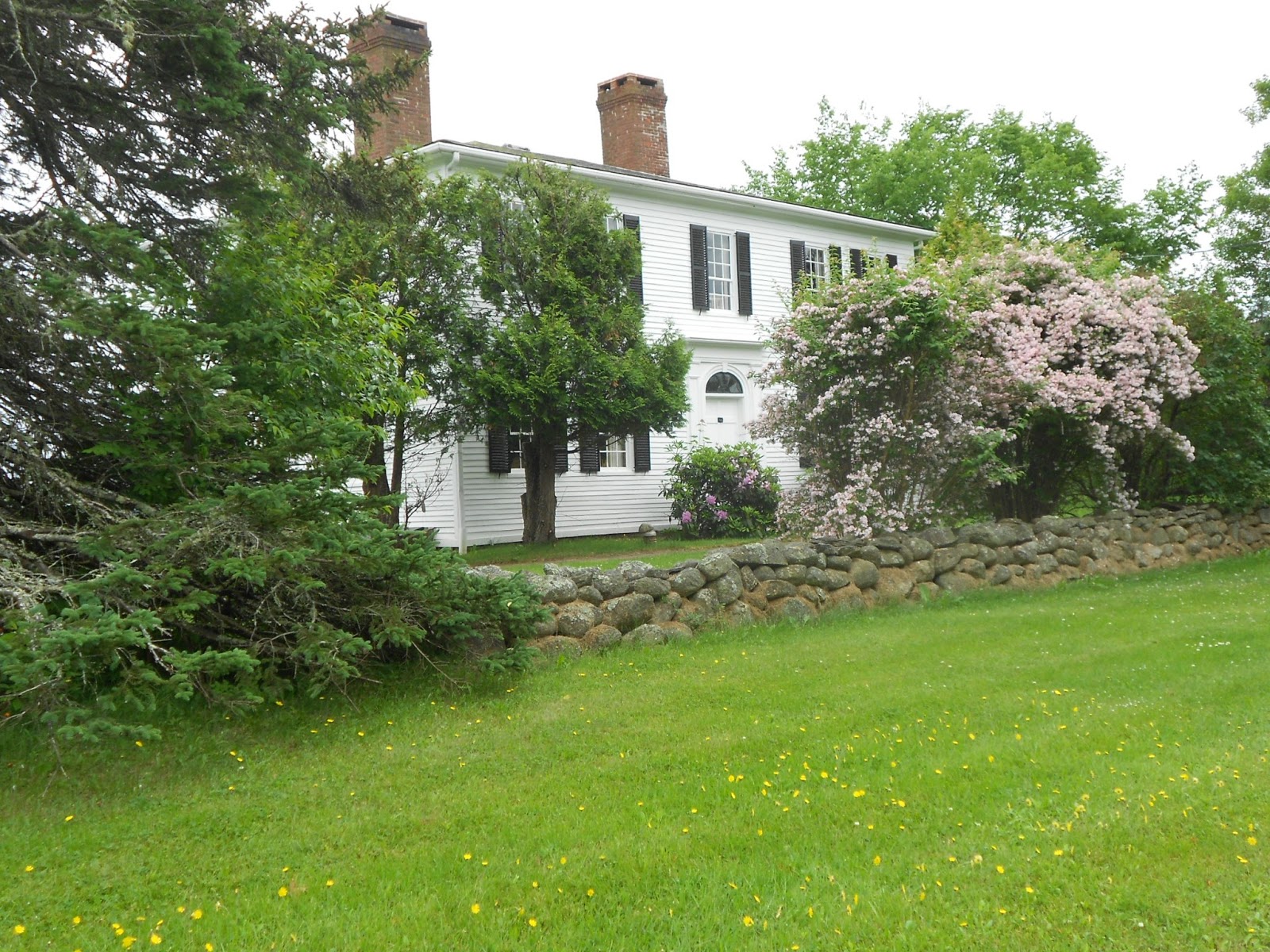 THE DOWNEAST DILETTANTE: HURRY, SPRING