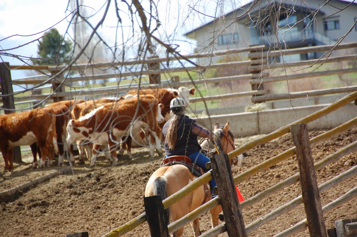 Mountain Music: AWOL...Time to Catch Up! (Part 1)