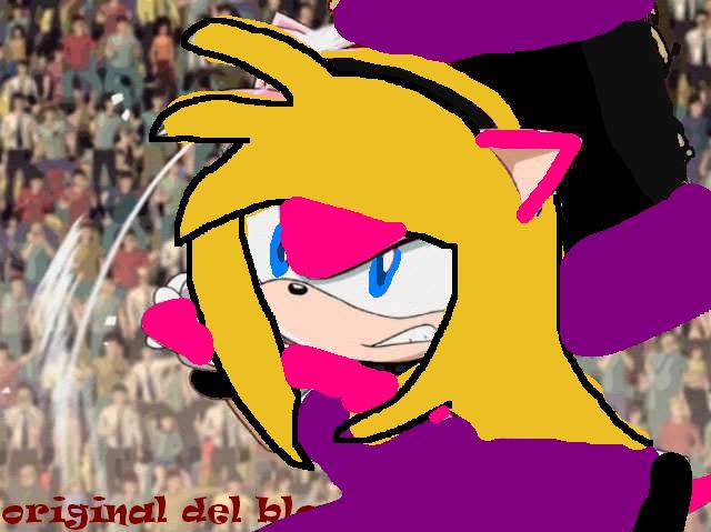 Las aventuras de Eimy the hedgehog: Capitulo 2