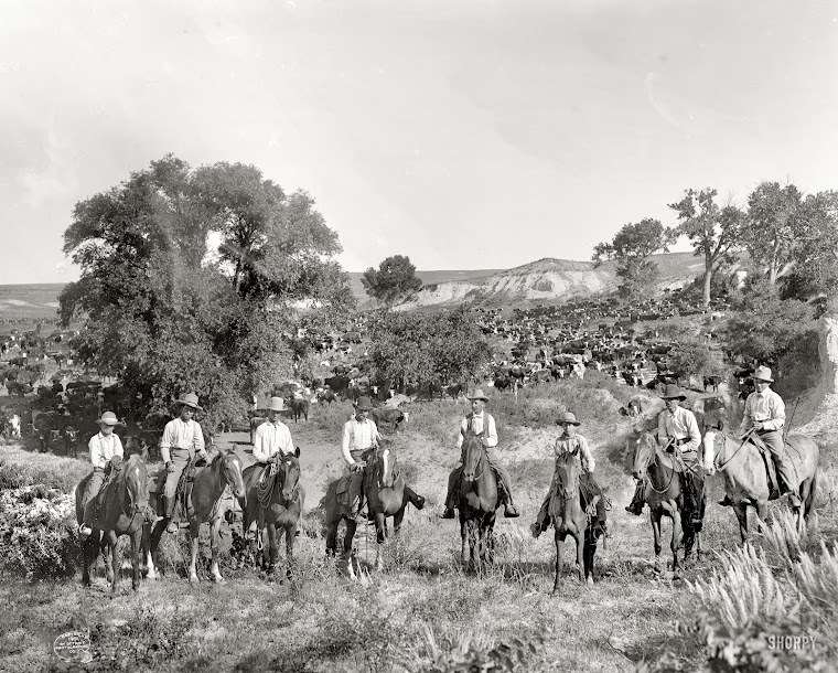 American Old West Pictures