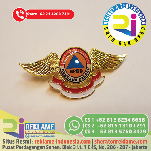 Pin Wing Logo BPBD