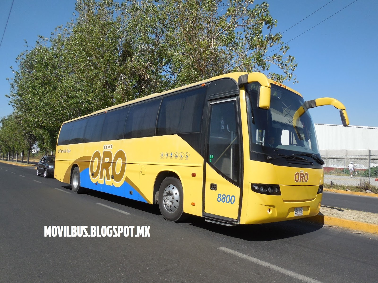 MOVILBUS: VOLVO 9300 AUTOBUSES ORO