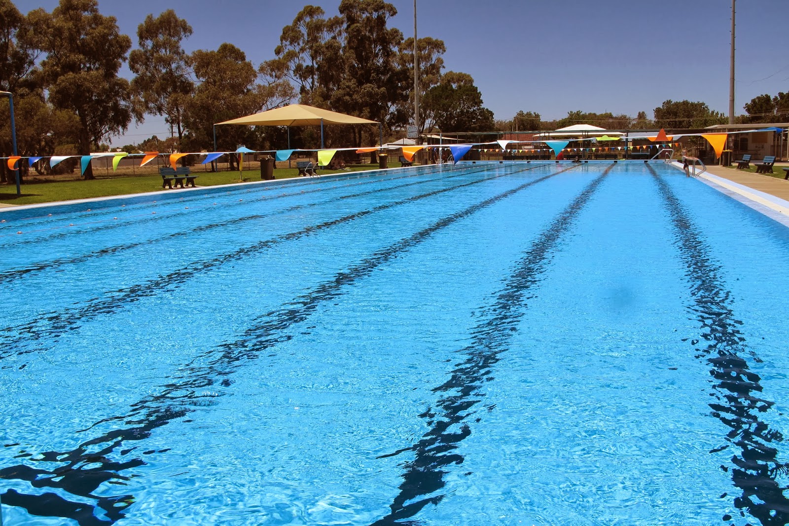 Swimming: Swimming across the Riverina