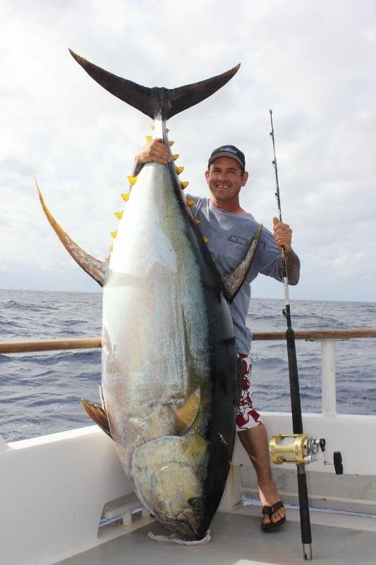 Anglers Fishing Spot: World Record Could Change - Yellowfin Tuna