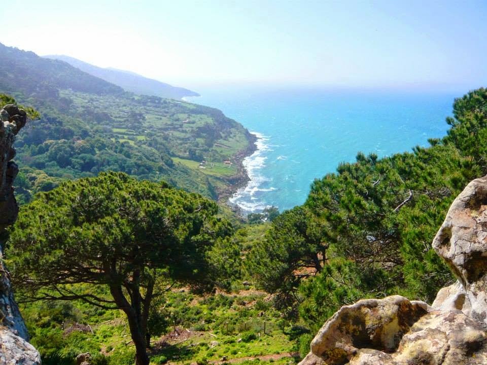 Tanger Metropole: Rmilat in Tangier