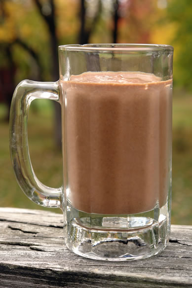 Gluten Free Blog: Dairy-Free Diet-Milkshake Recipe : Chocolate Pumpkin ...