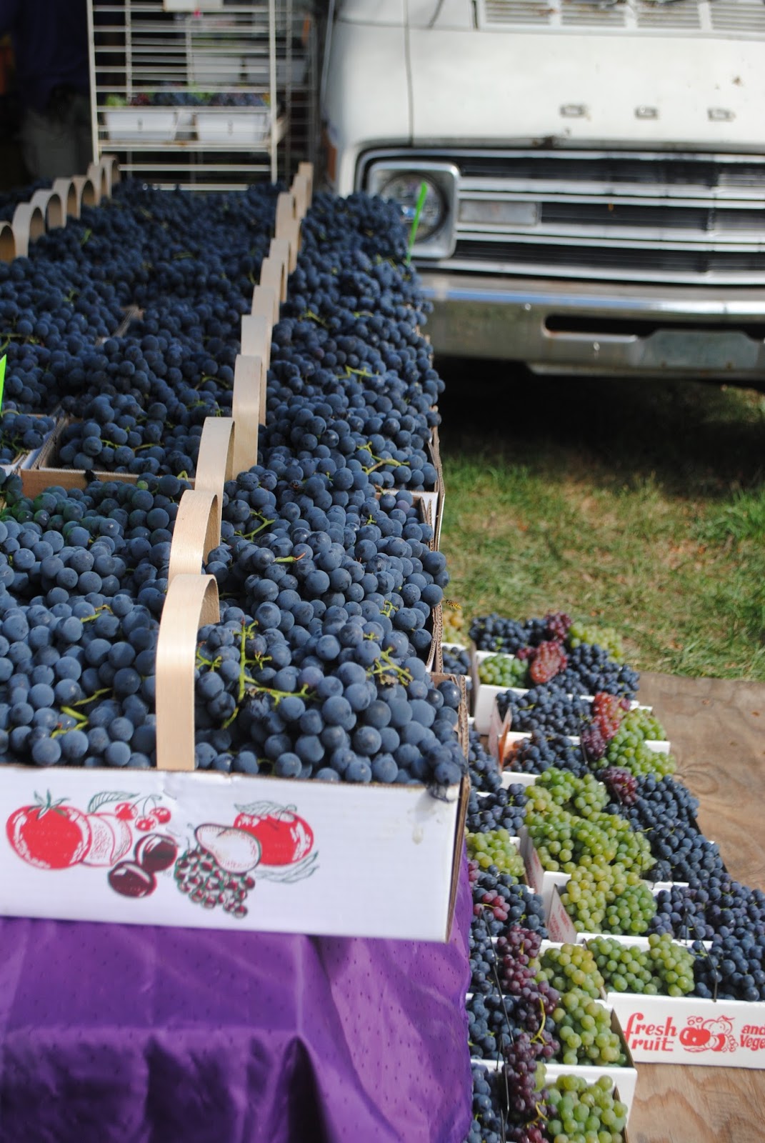 Lori's Lipsmacking Goodness: Grape Pie Filling