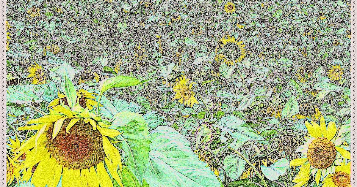 The Scriptures: Mark-05-02