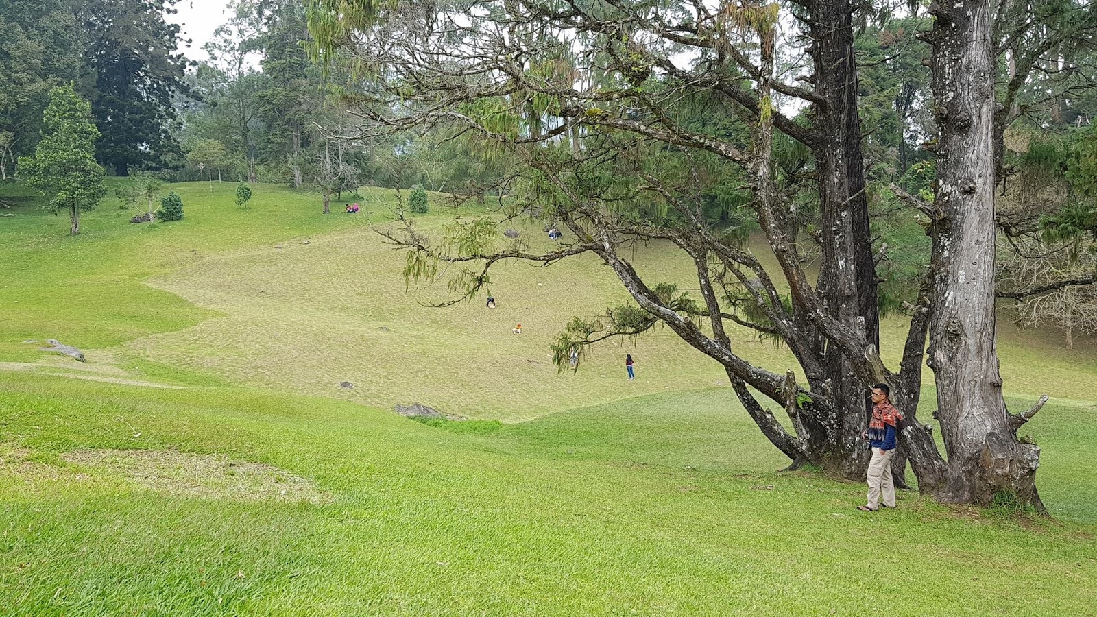Liburan tahun baru di Kebun Raya Cibodas, Mengunjungi Curug Cibogo dan ...