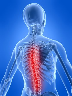 PSYCH-K® Naďa Cisarova: Skrytý význam chorôb - Chrbtica