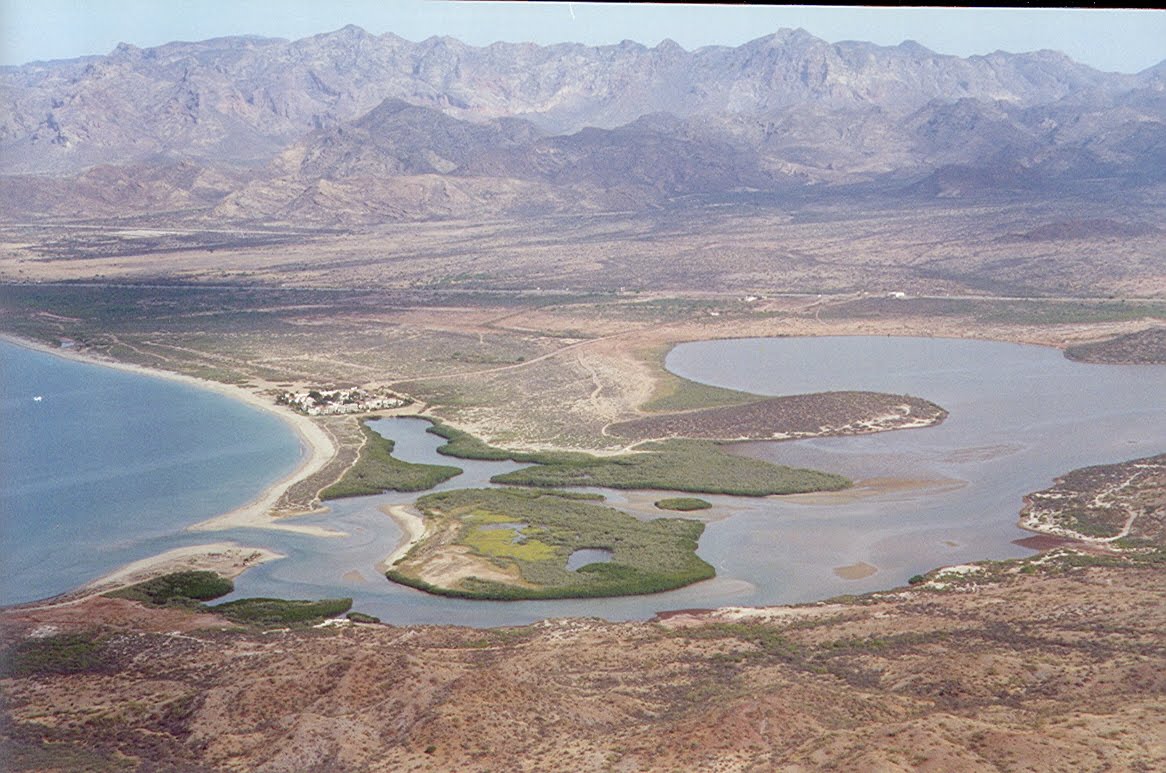 Verde Zona: ¿Conocías los Esteros?