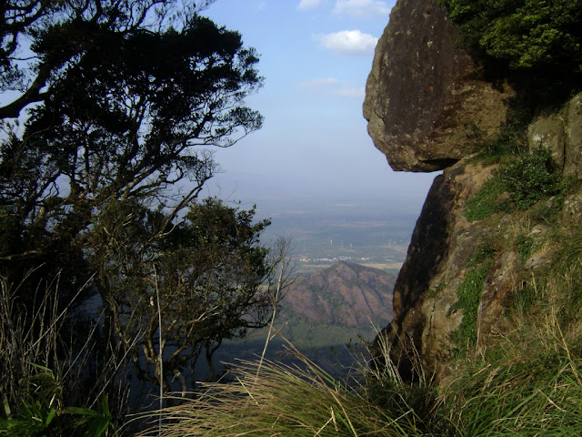 Nature Enthus - DLC : Rajathottam - The Ruler's Choice