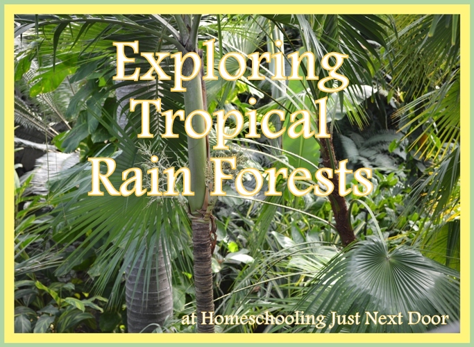 Homeschooling Just Next Door: Exploring Biomes - Tropical Rainforest