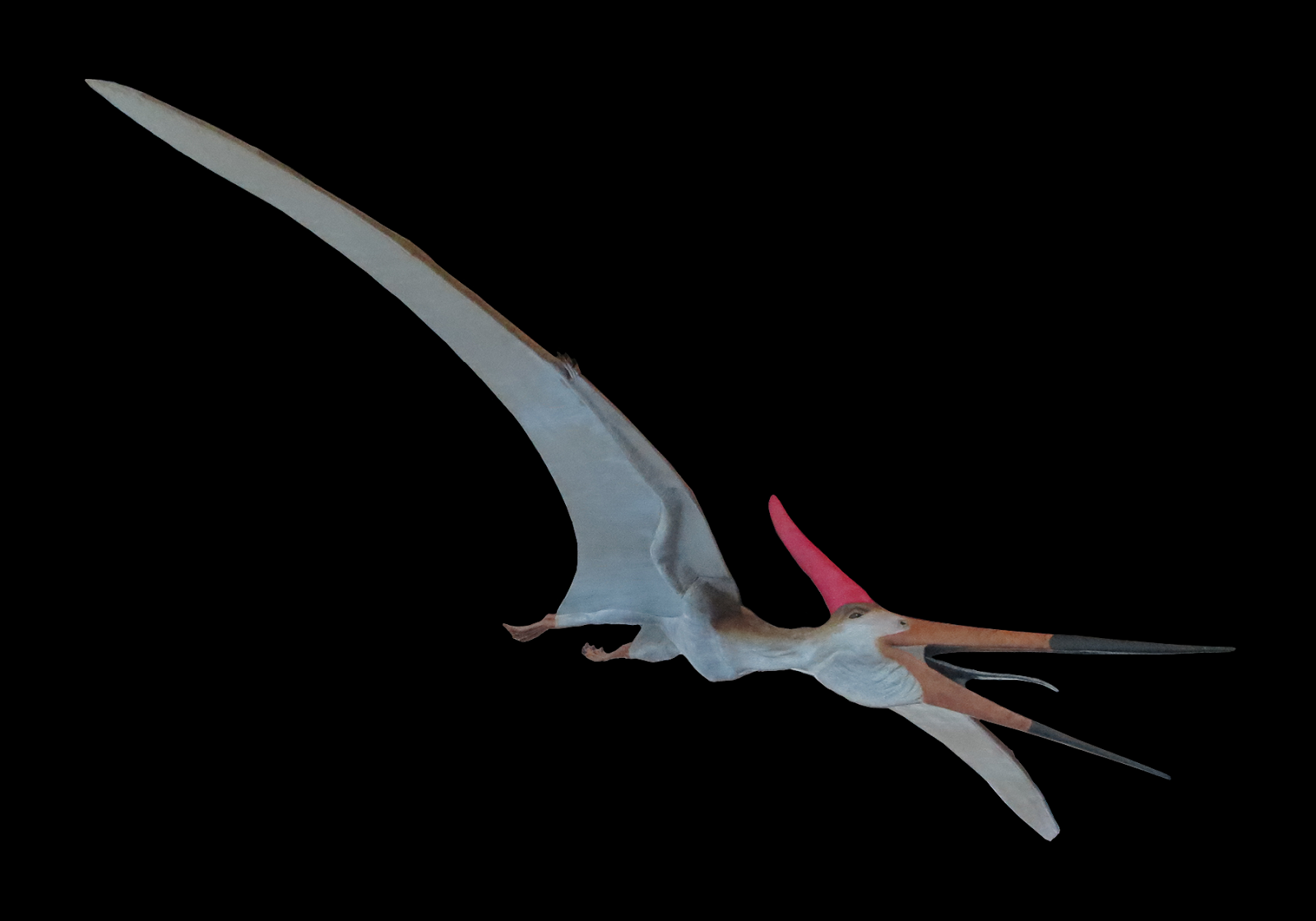 The Expeditioner's Discovery Guild: A little bit of Everything: Museums ...