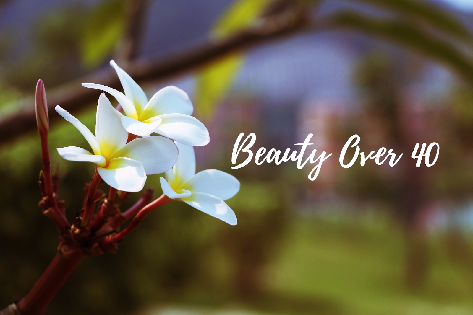 Beauty Over 40 | This is the New 60 - thefabzilla