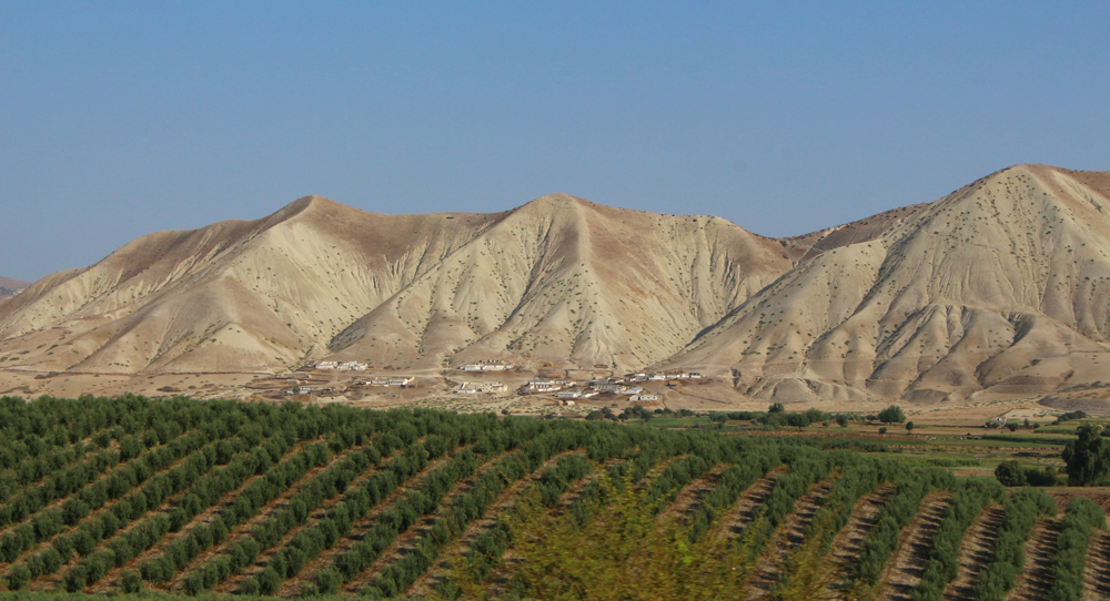 THE VIEW FROM FEZ: Hamria "Thursday" Souk - A Trip to the Country