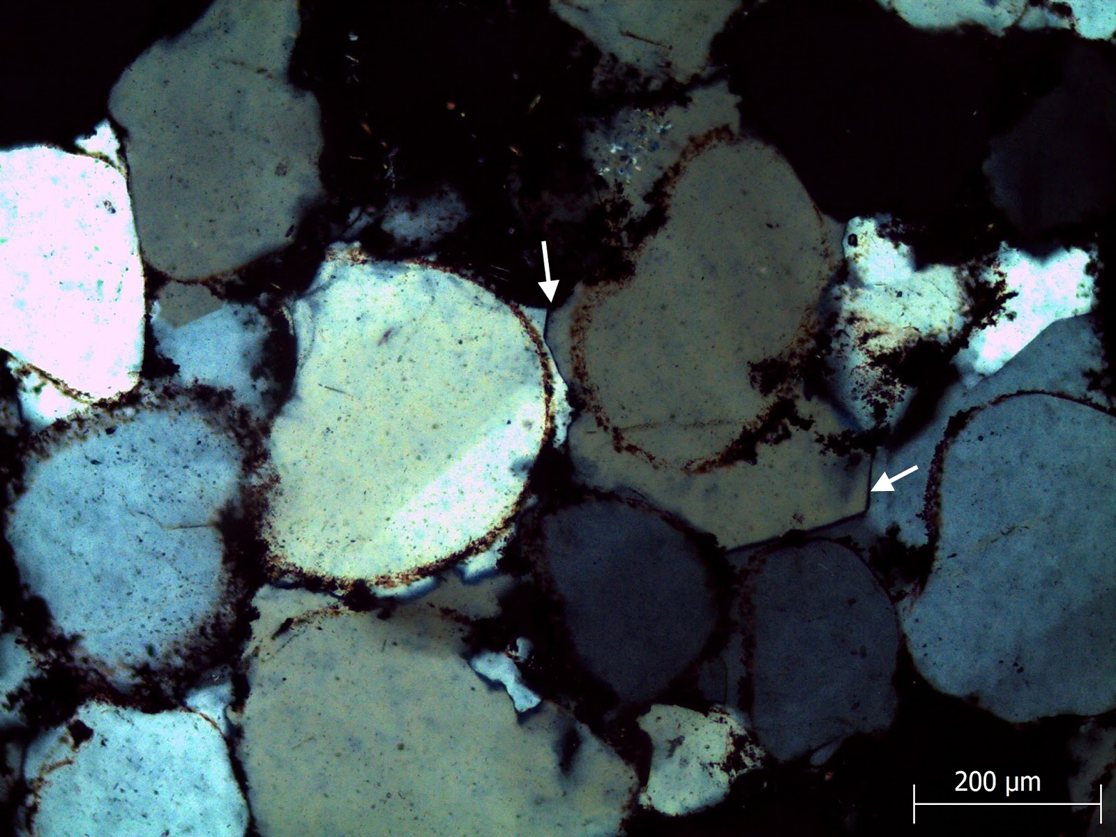 Rapid Uplift: Photomicrograph: Super Mature Quartz Arenites From ...