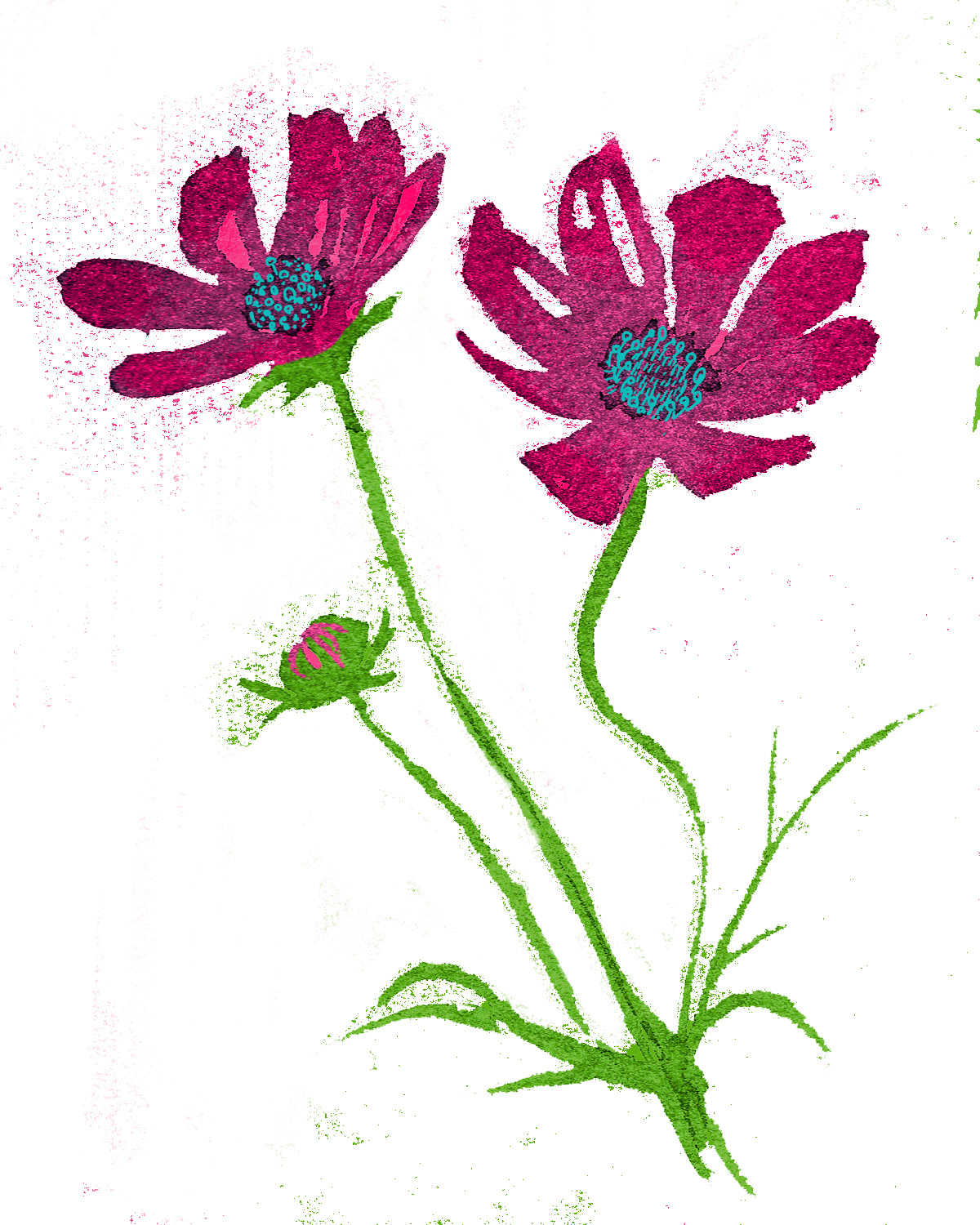 Kate Radomski Illustration: Flowers