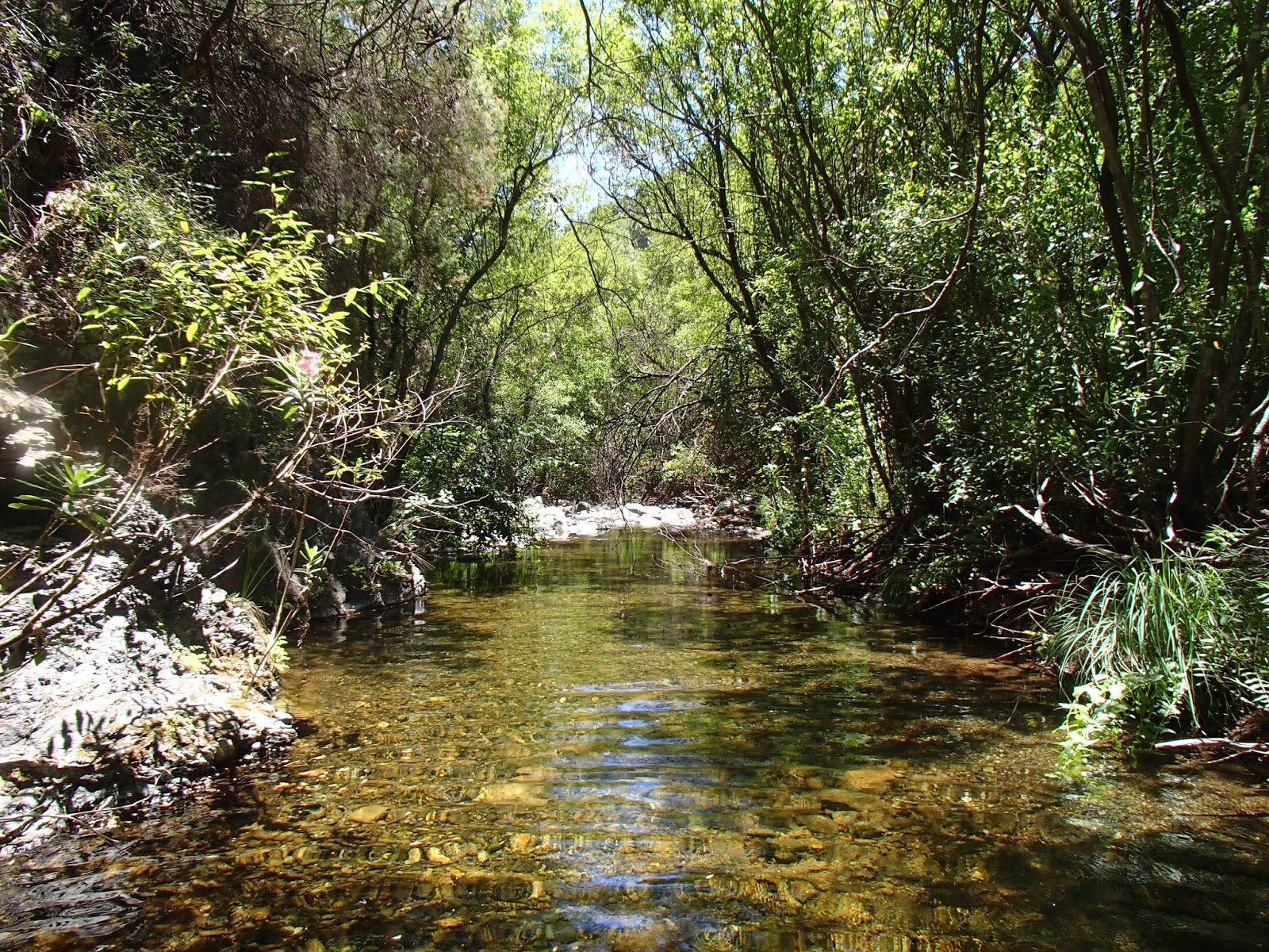 RF NATURA: DESCENSO DEL RÍO VELERÍN