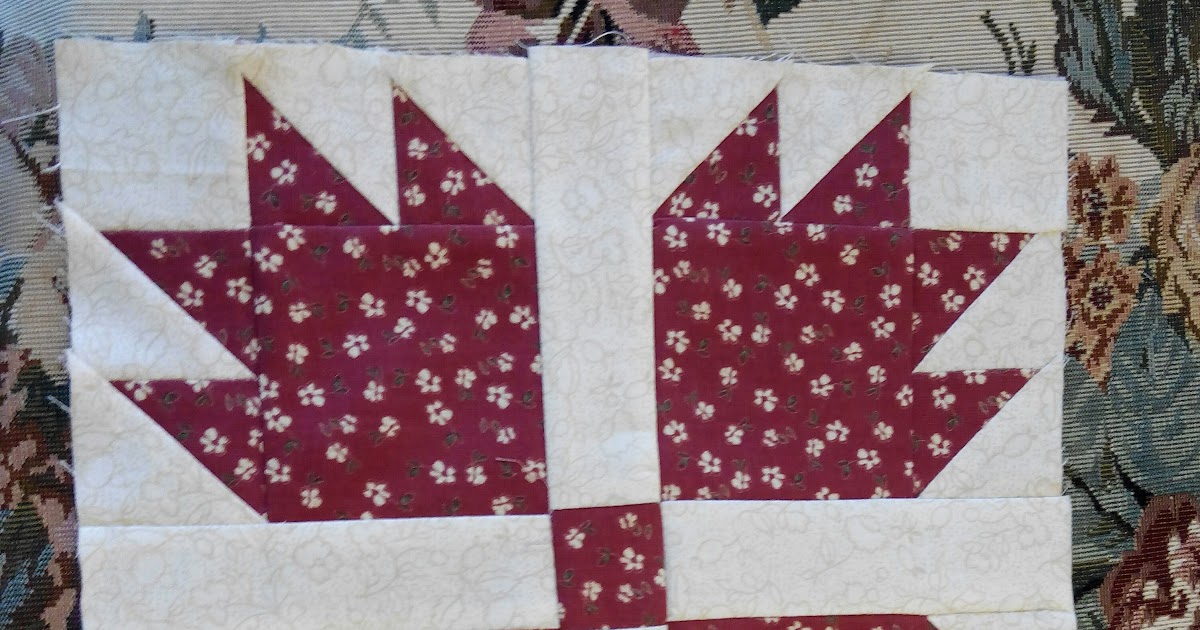 Aprende Patchwork Fácil: Garra de oso