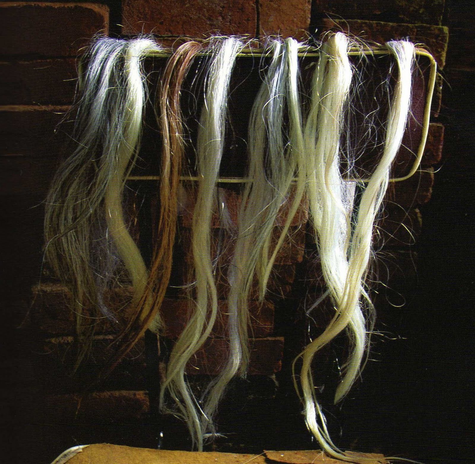 Museo del Crin Inés Belmar: El Crin