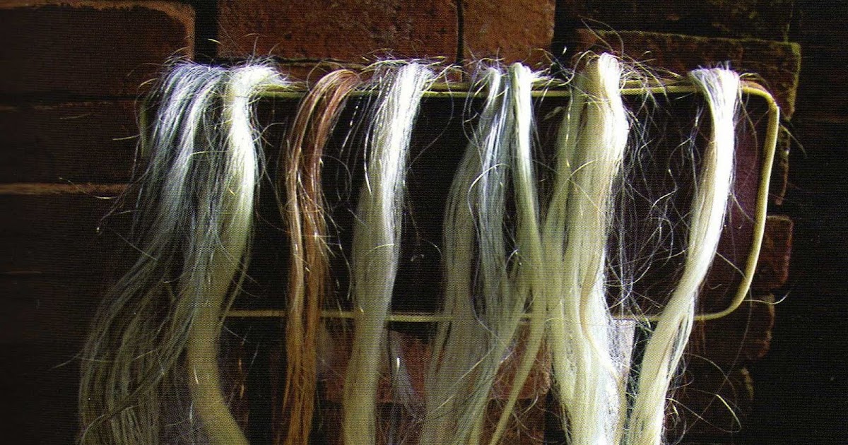 Museo del Crin Inés Belmar: El Crin