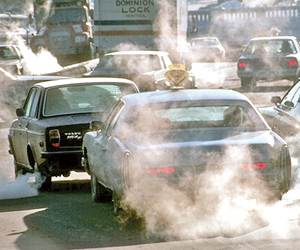 Ecología y Globalidad