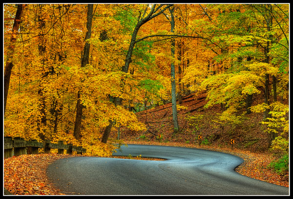 Redefining the Face Of Beauty : TOP PLACES TO VISIT IN INDIANA!