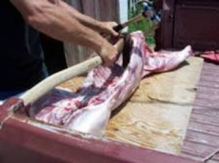 Cowgirl's Country Life: Cooking Whole Hog on a Cinder Block Pit