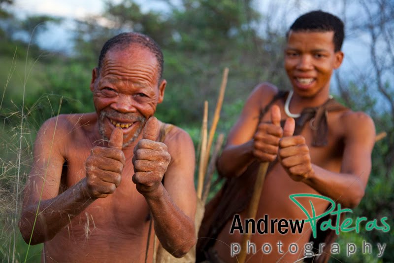 AThousandYoung: A History and Prehistory of Everything