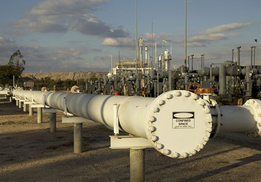 A Black Cockatoo: July 2012