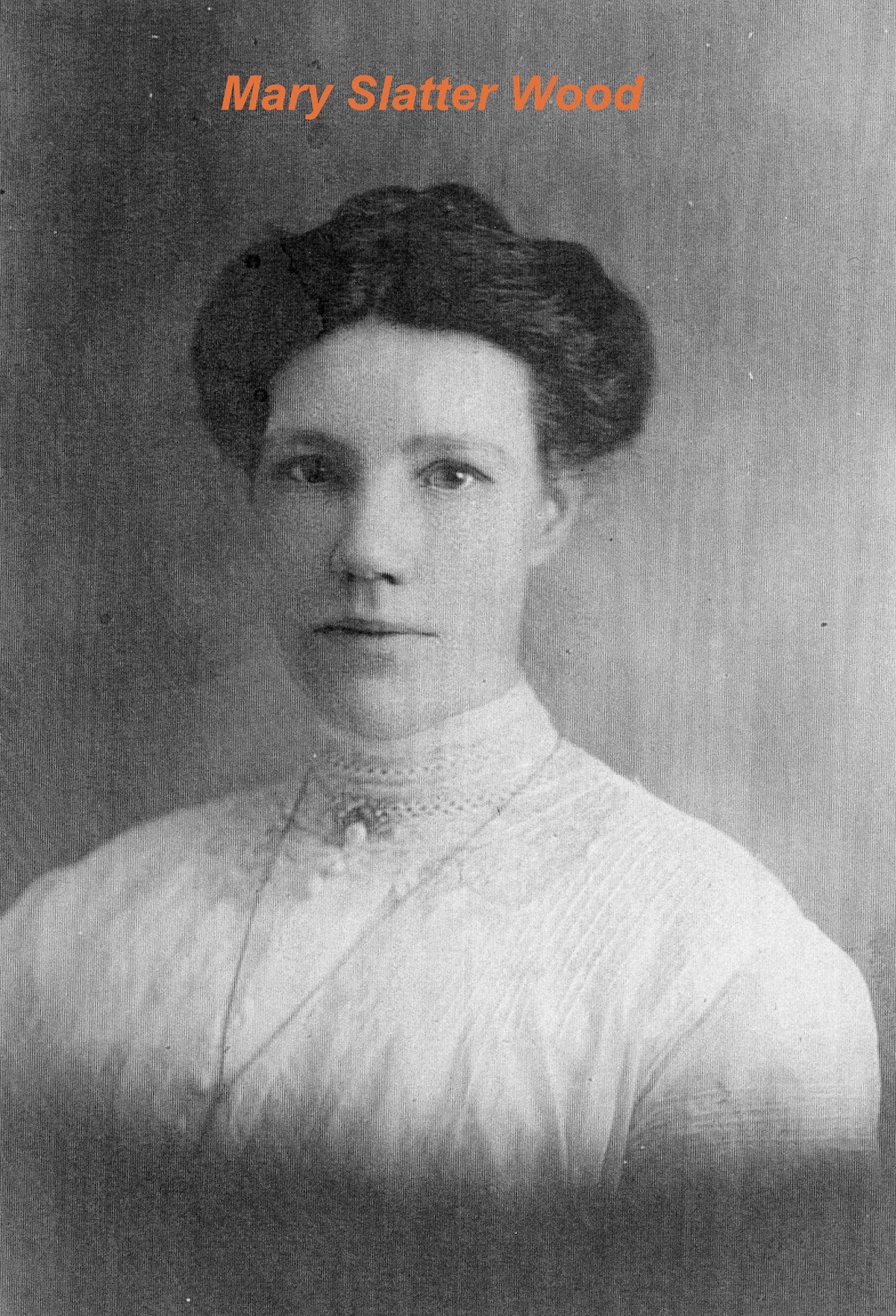 Climbing My Family Tree: Genealogy Blog Party: Time Travel Adventure ...