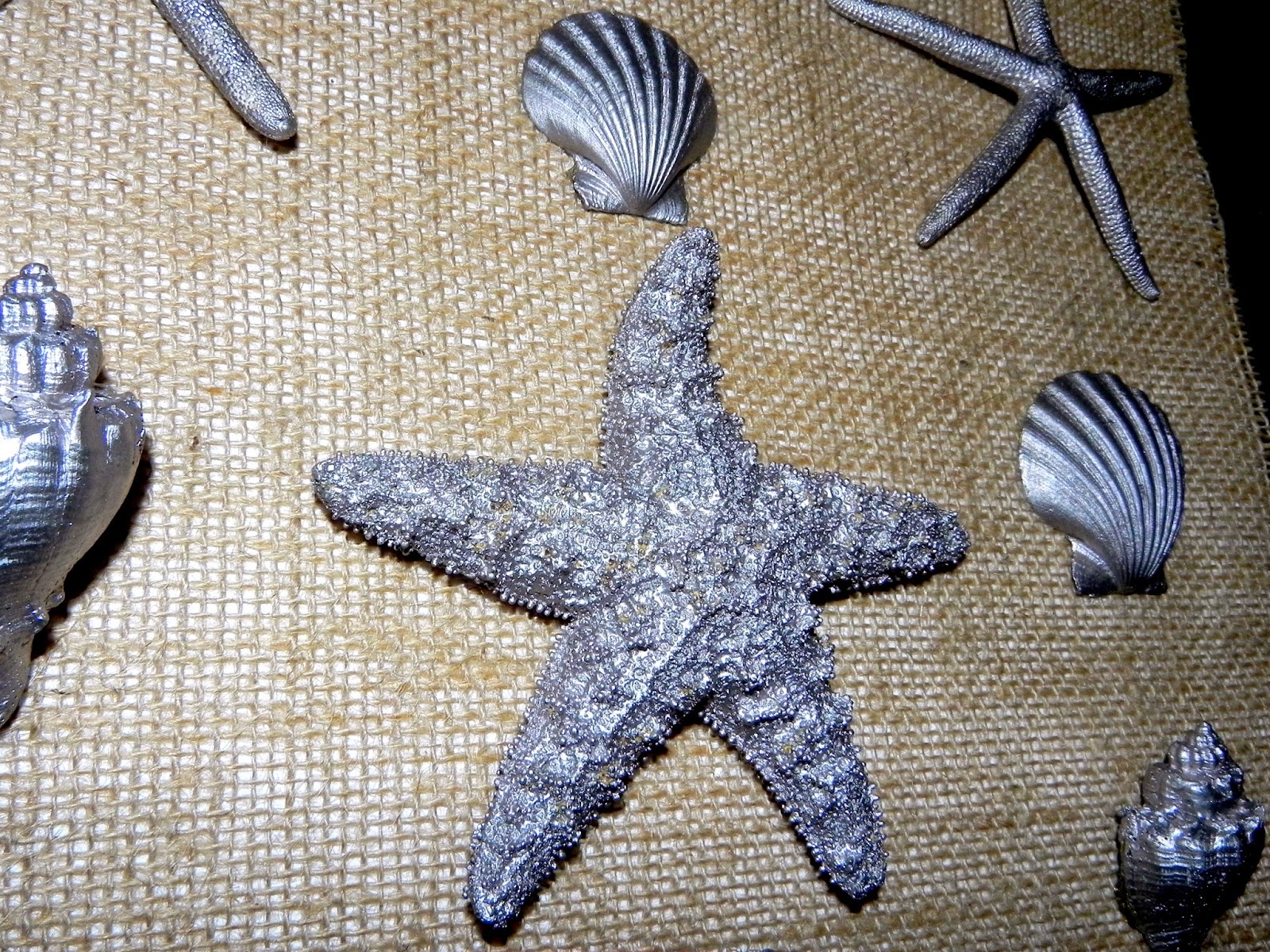 Smart n Snazzy: DIY ~ Gilded Seashell Art