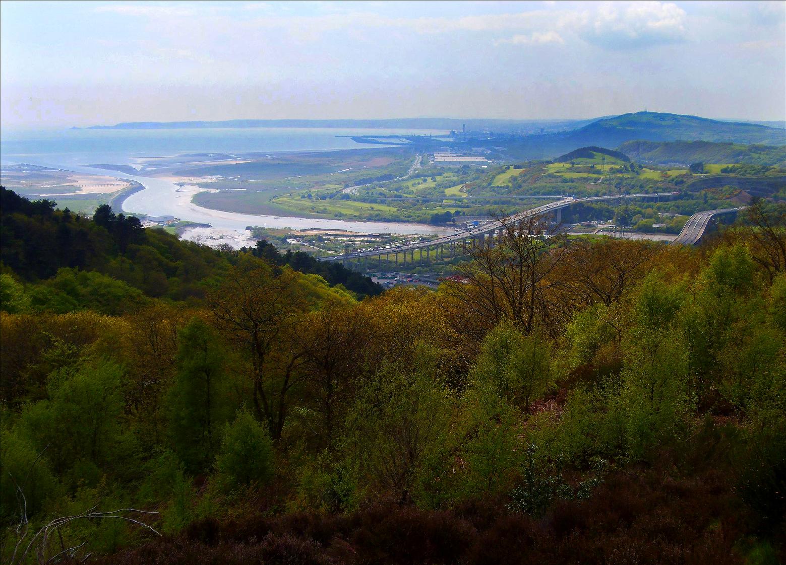 Gower Wildlife: Baglan