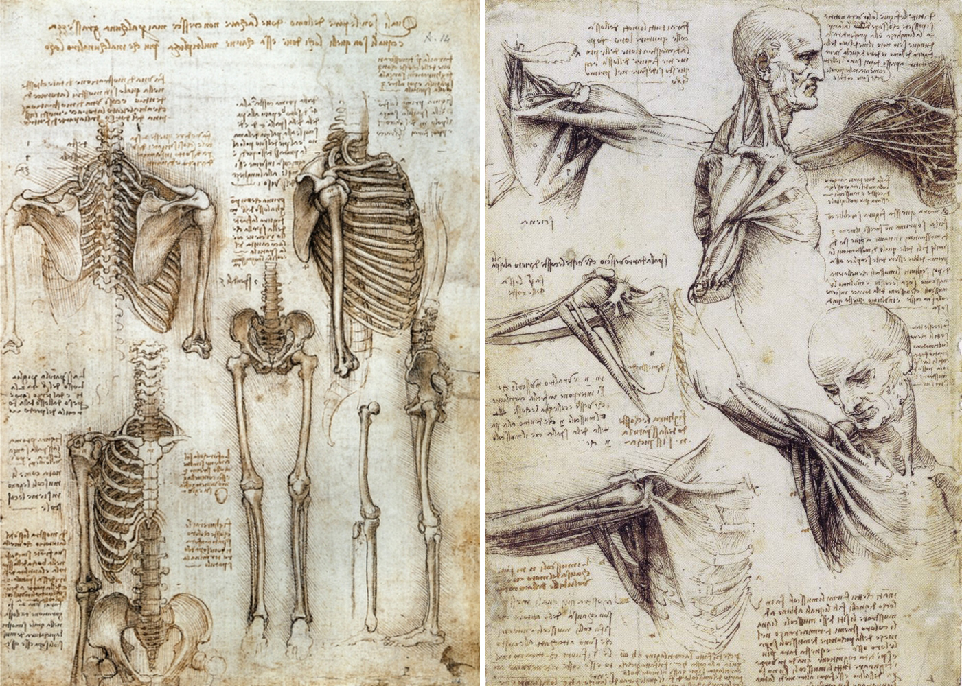How To Sketch Like A Pro How To Sketch Like A Pro