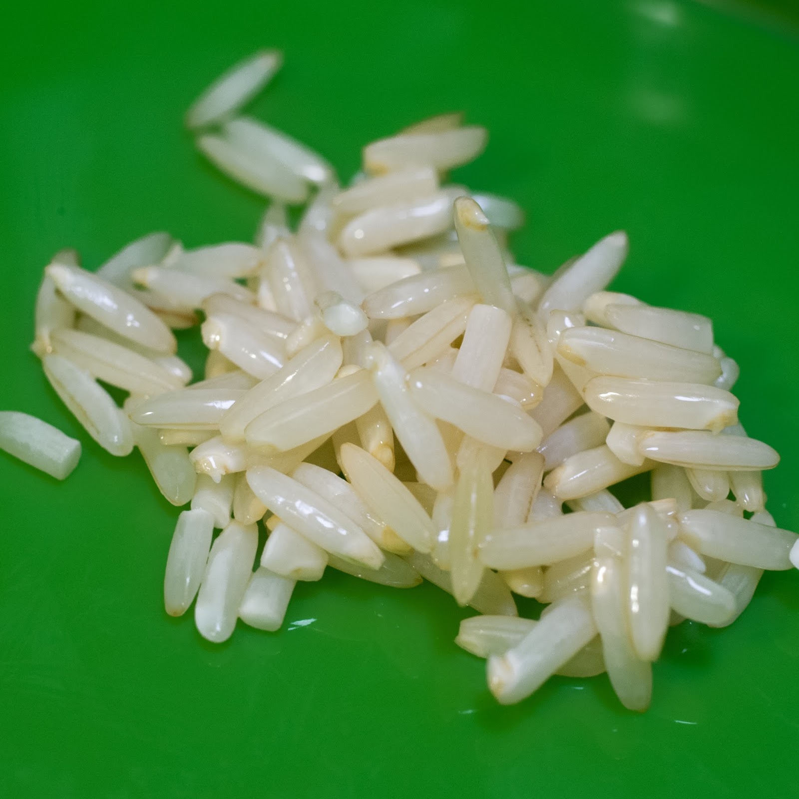 My Little Simple Fun Blog: HOW TO Germinate Brown Rice