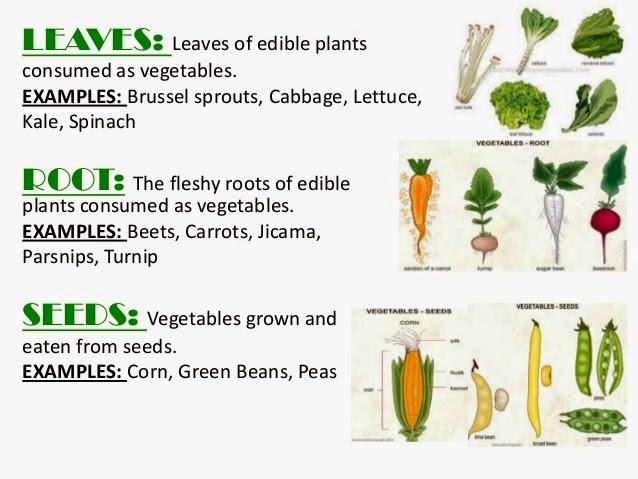 NATURAL SCIENCE (1º E.S.O.): EDIBLE PARTS OF PLANTS
