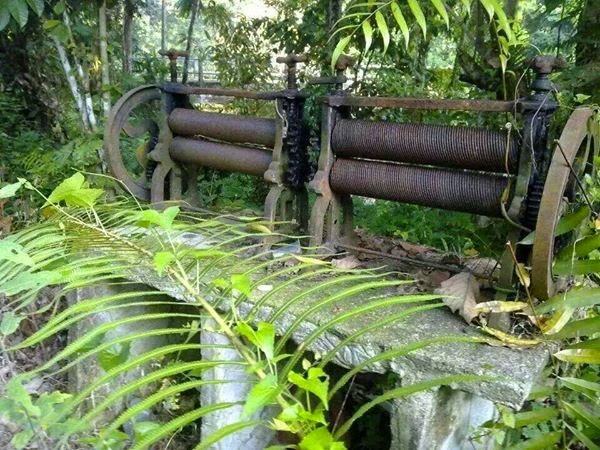 Sri Mersing: Getah Keping