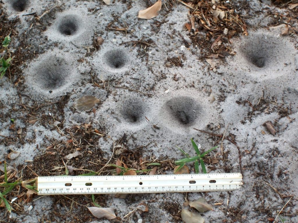 cabin talk: paradise