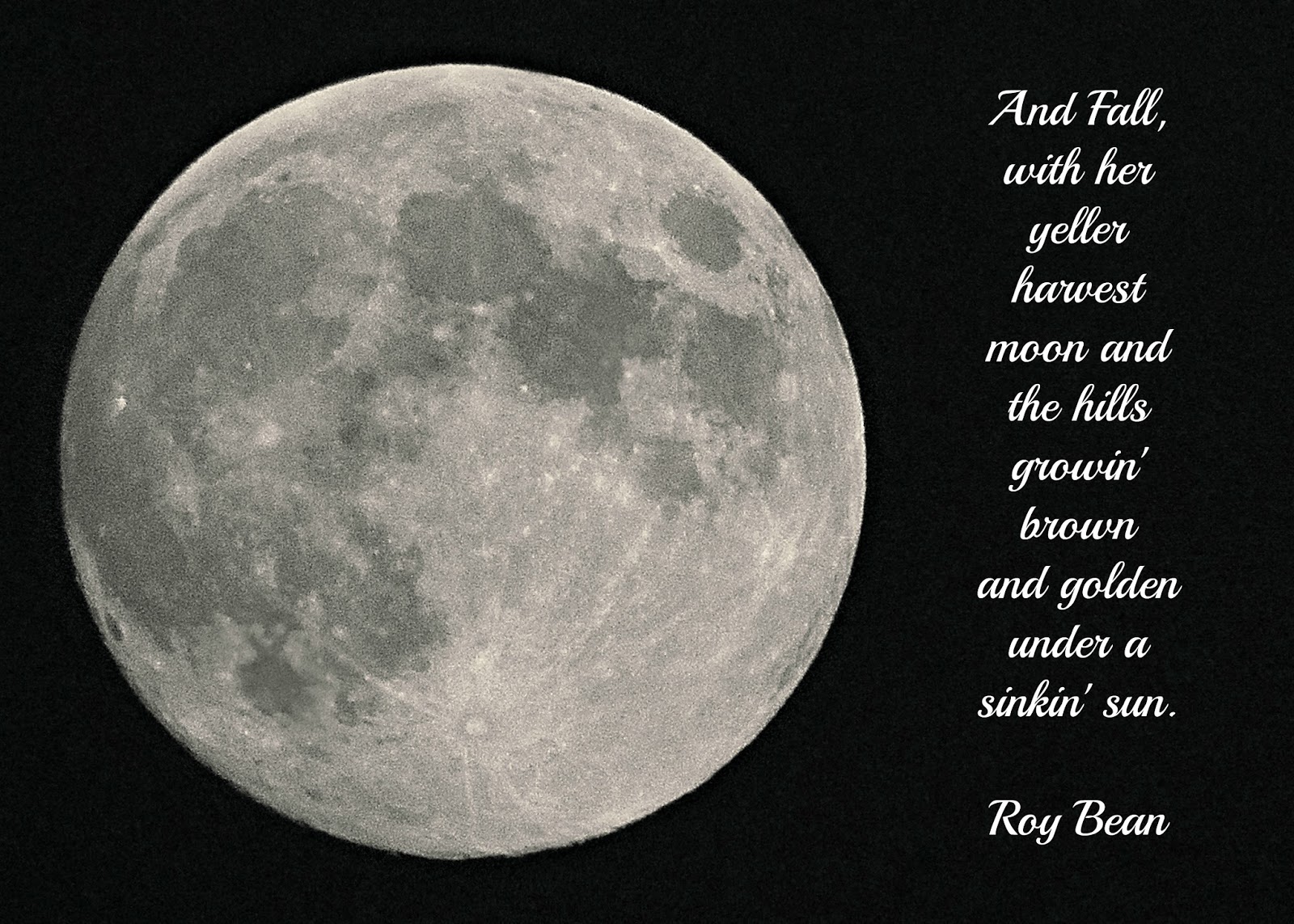 Love Poems Moon | True Love Quotes