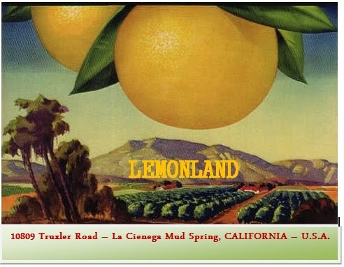 -: MAGPIE TALE: The Lemon Lacerations