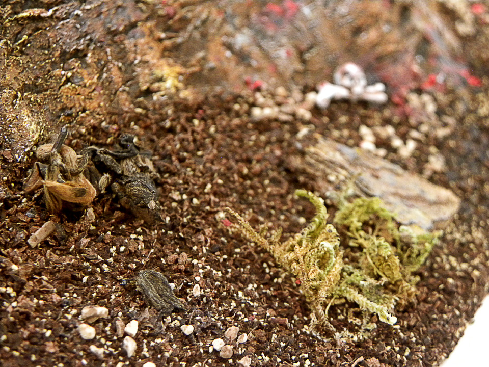 Terrain Wench Productions: Ogre Charnel Pit