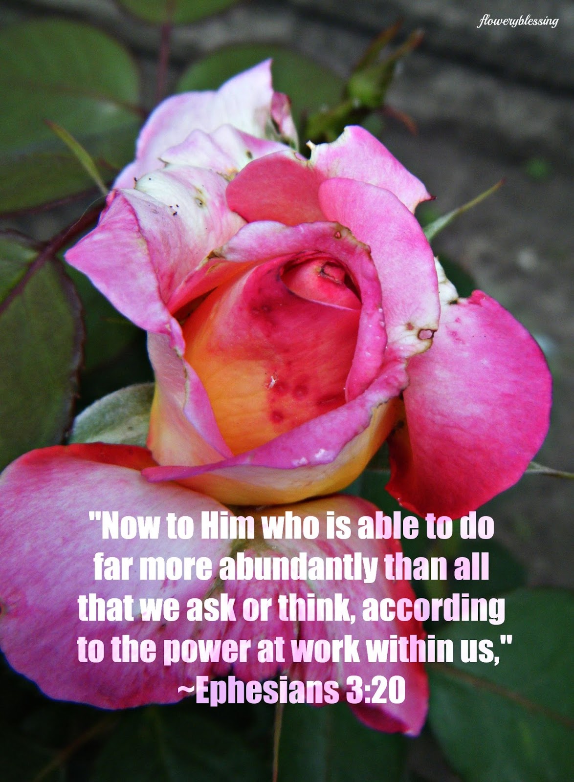 Flowery Blessing: "Now to Him who is able to do far more abundantly ...