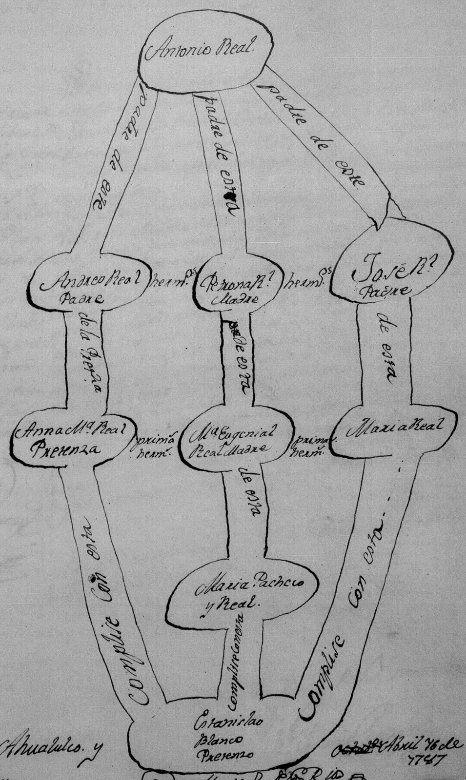 Guadalajara Marriage Dispensations - Mexico Genealogy: Family Tree Art
