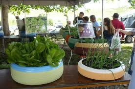 Todo sobre tu huerto casero: Reciclaje de gomas