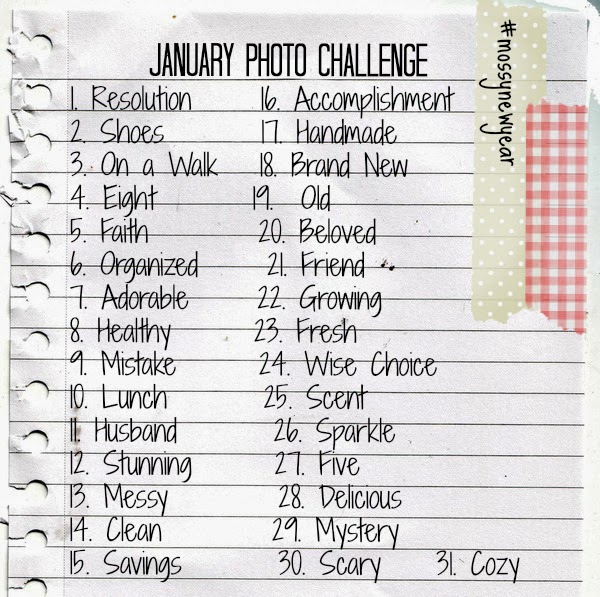 Samurai Mom: January Photo Challenge