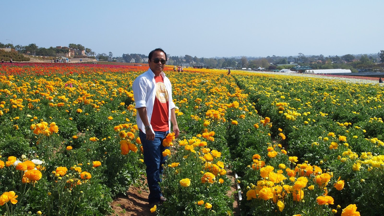 Life is Good: Musim Semi 2013