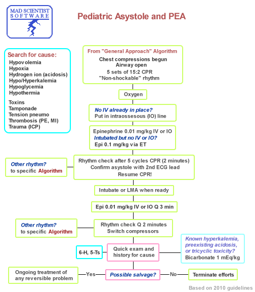 TENTANG JANTUNG: PENATALAKSANAAN PASIEN DENGAN ASYSTOLE DAN PEA ...