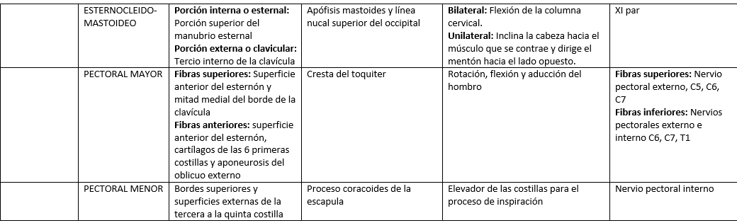 estrategias de intervención cardiopulmonar
