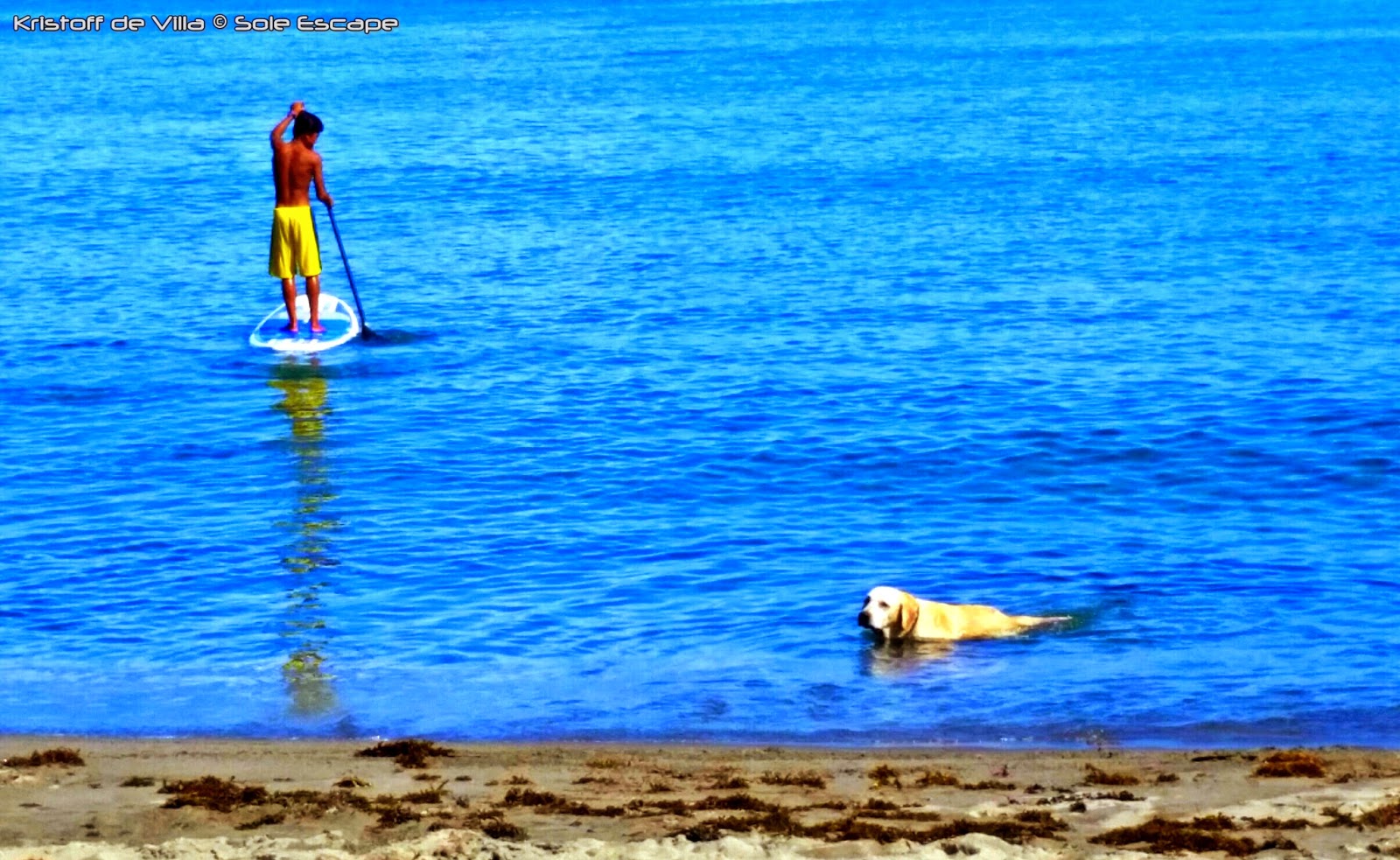 Sand Bar Island Beach, Concepcion Iloilo